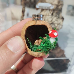 Betta/jumping Spider Tube Hide Aquarium Decor/enclosure Decor - Etsy Canada