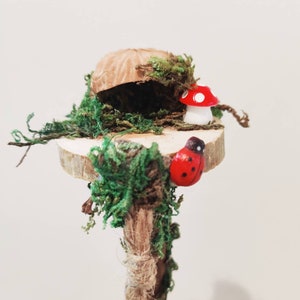 Jumping Spider Treehouse, Pet Spider, Accessories, Hide Out Walnut - Etsy