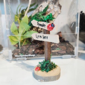 Jumping Spider Sign Post Spooder Lives Here Spider Hideout - Etsy