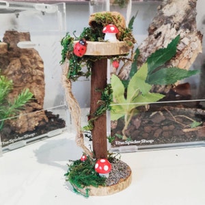 Jumping Spider Treehouse, Pet Spider, Accessories, Hide Out Walnut - Etsy