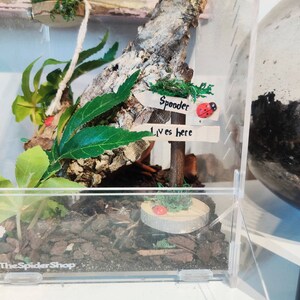 Jumping Spider Sign Post Spooder Lives Here, Spider Hideout Accessories ...