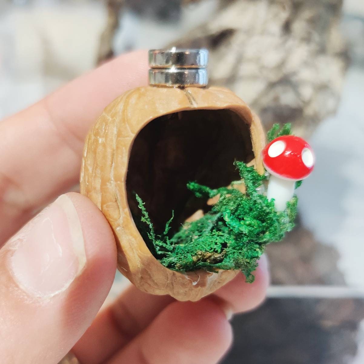 Jumping Spider Magnetic Hideout Walnut Spider Hide Spider - Etsy