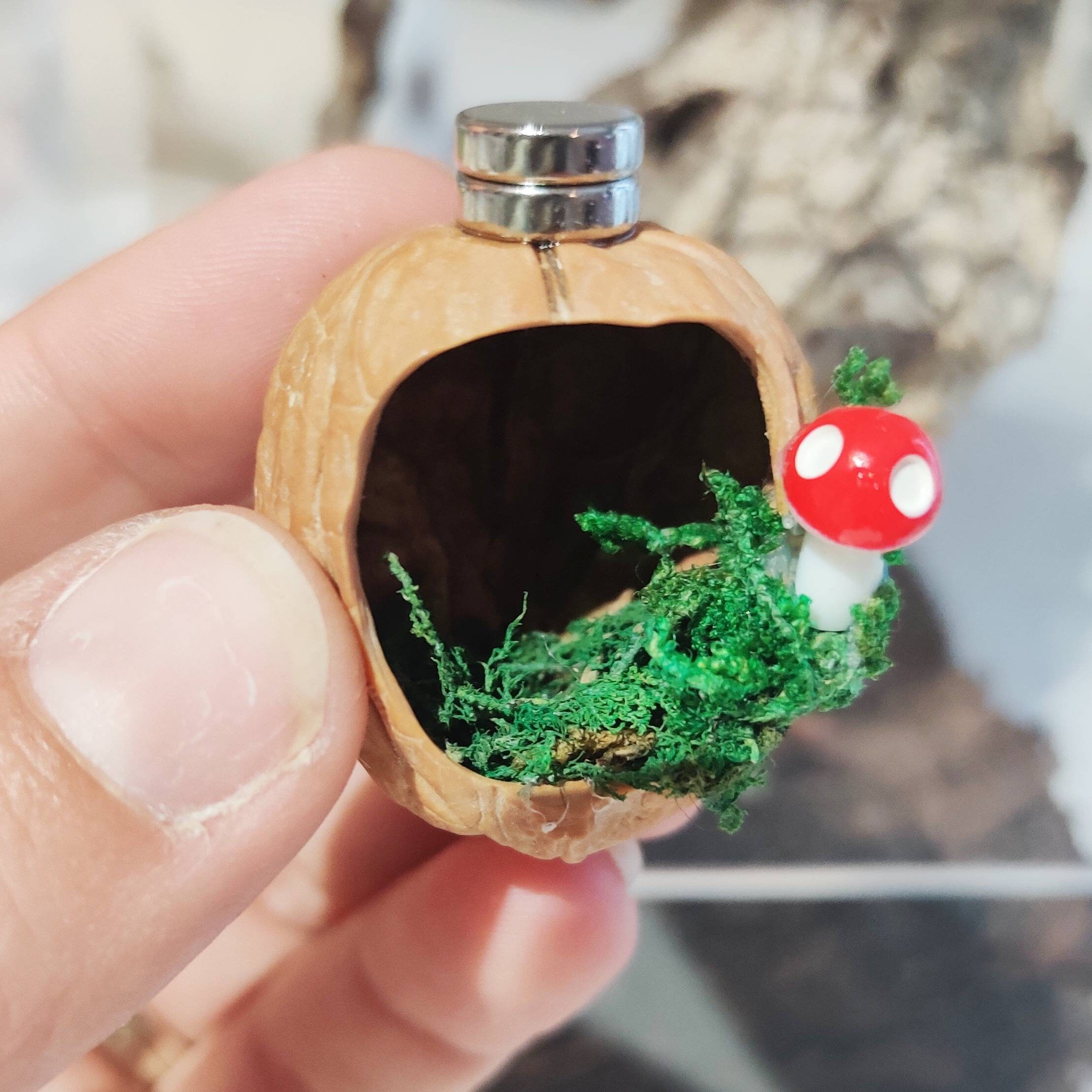 Jumping Spider Magnetic Hideout Walnut Spider Hide Spider - Etsy