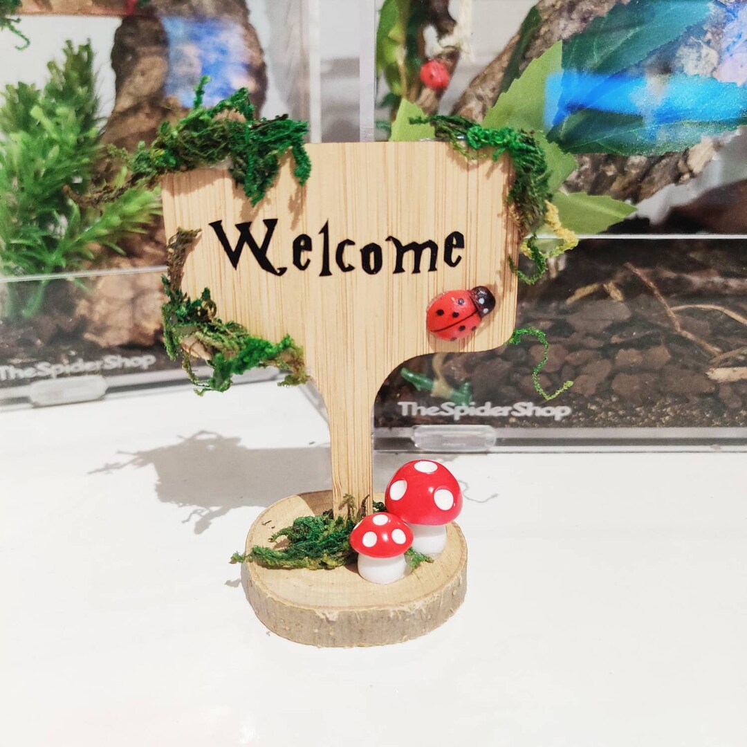 Jumping Spider Sign Post Welcome, Spider Hideout Accessories Enclosure ...
