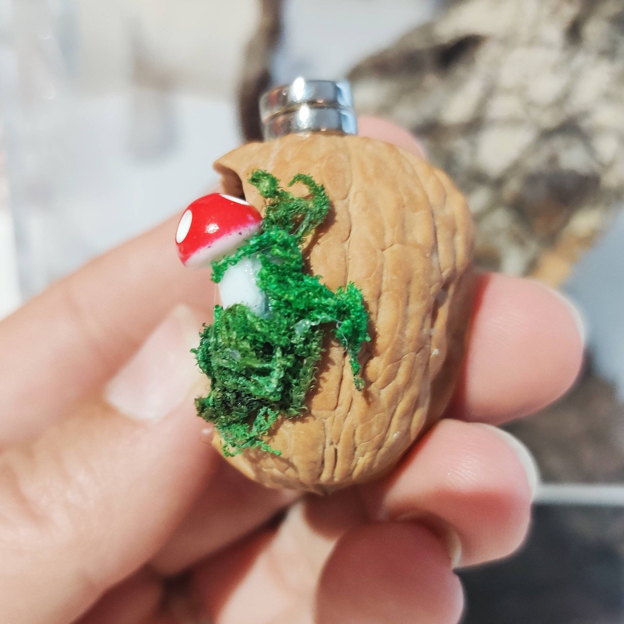 Jumping Spider Magnetic Hideout Walnut Spider Hide Spider - Etsy