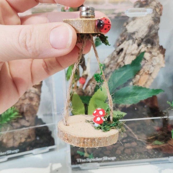 Betta/jumping Spider Tube Hide Aquarium Decor/enclosure Decor - Etsy Canada