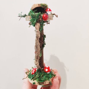 Jumping Spider Treehouse, Pet Spider, Accessories, Hide Out Walnut - Etsy