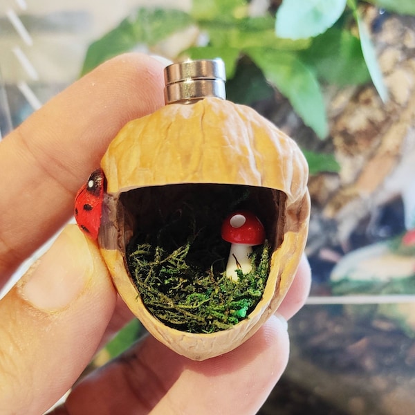 Betta/jumping Spider Tube Hide Aquarium Decor/enclosure Decor - Etsy Canada