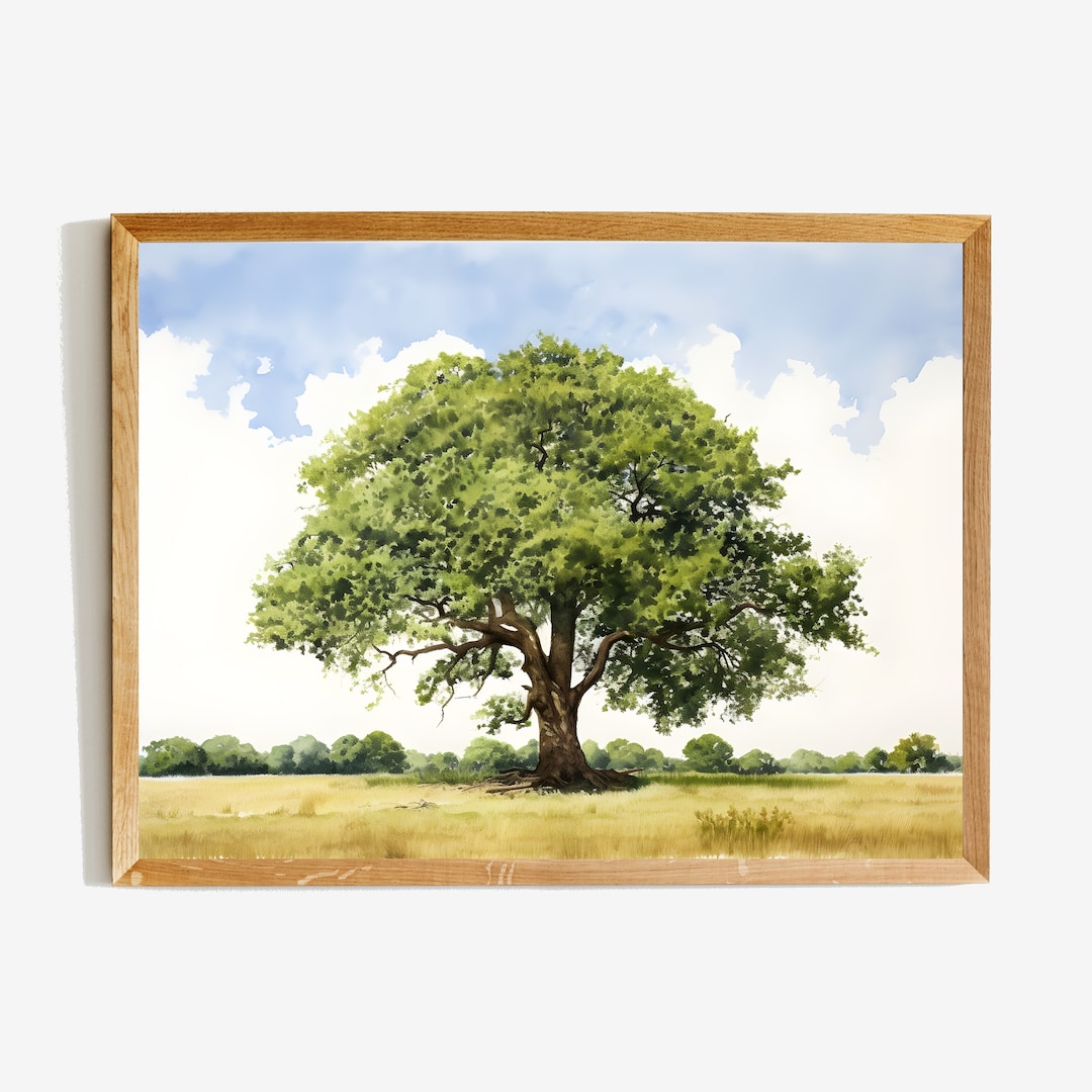 English Oak Tree Wall Art Print - Etsy