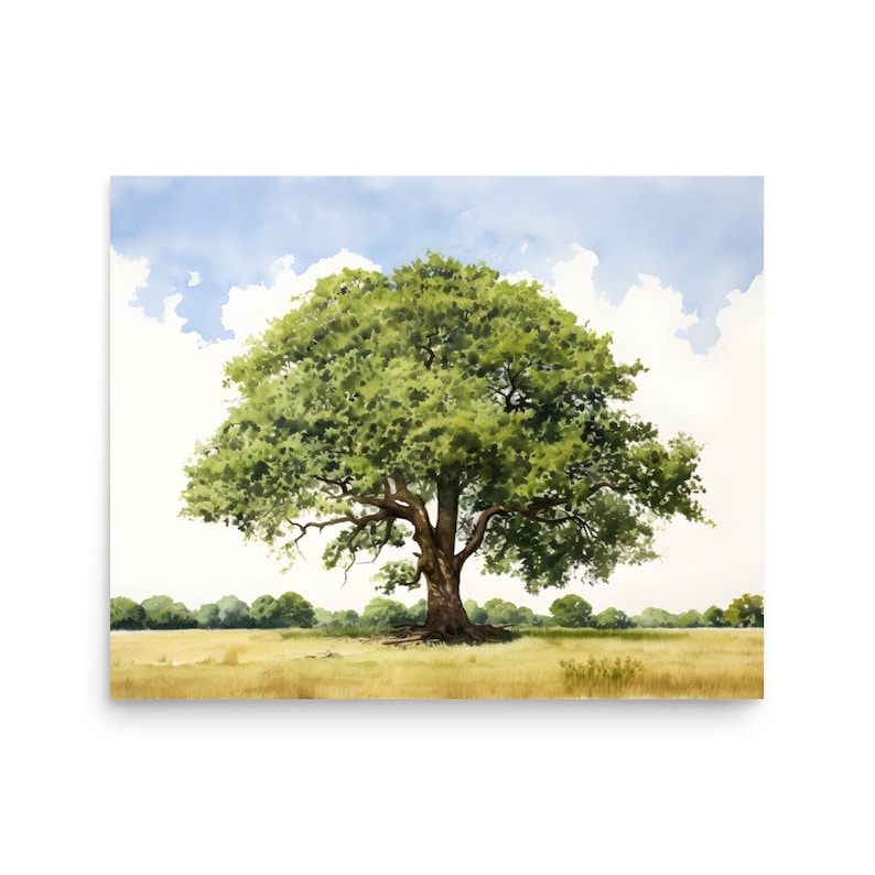 English Oak Tree Wall Art Print - Etsy