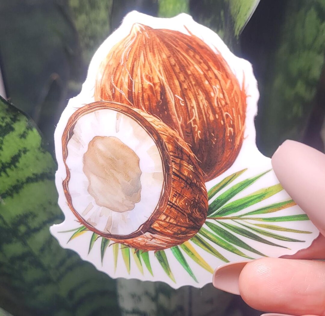 Coconut Tree Sticker, Coconuts, Presidential Race 2024, Kamala Harris ...