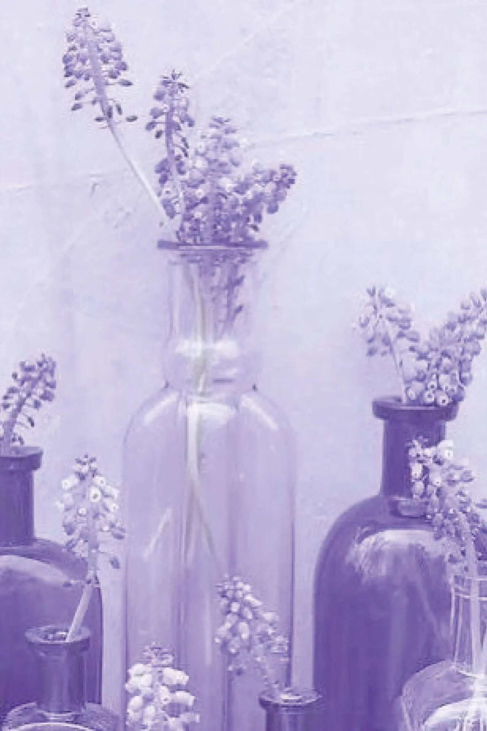 Purple Wall Poster Set of 30 Room Decor Lilac Poster Set Purple Lover ...