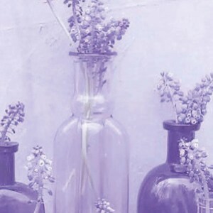 Purple Wall Poster Set of 30 Room Decor Lilac Poster Set Purple Lover ...