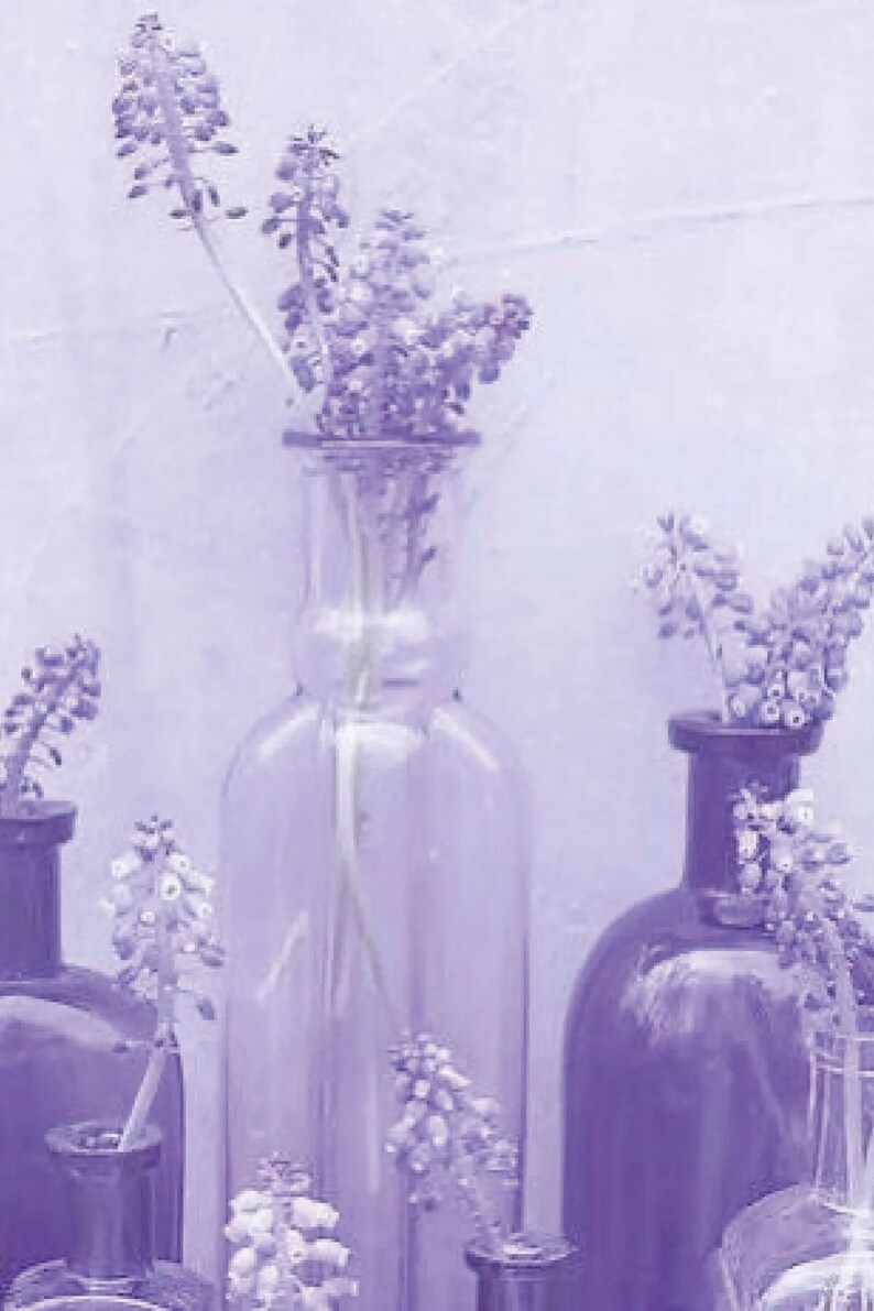 Purple Wall Poster Set of 30 Room Decor Lilac Poster Set Purple Lover ...