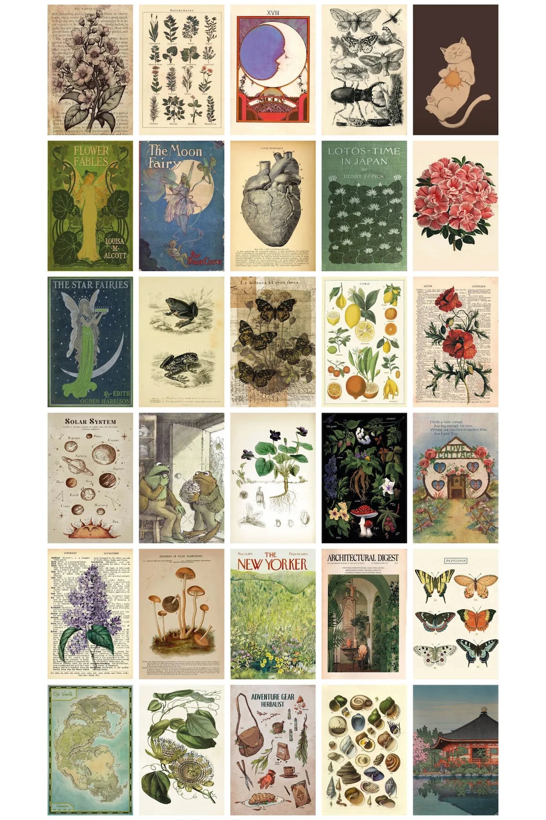 Vintage Botanical Wall Poster Set of 30 Vintage Wall Decoration Botanic ...
