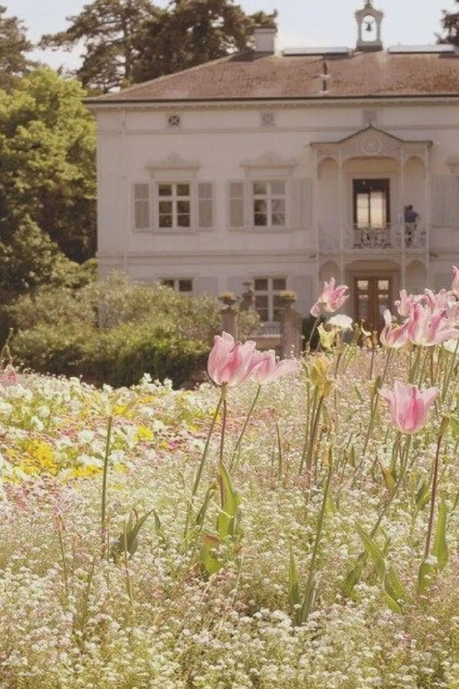 Cottage Core Wall Poster Set of 30 Room Decor Princesscore Aesthetic ...