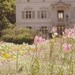 Cottage Core Wall Poster Set of 30 Room Decor Princesscore Aesthetic ...