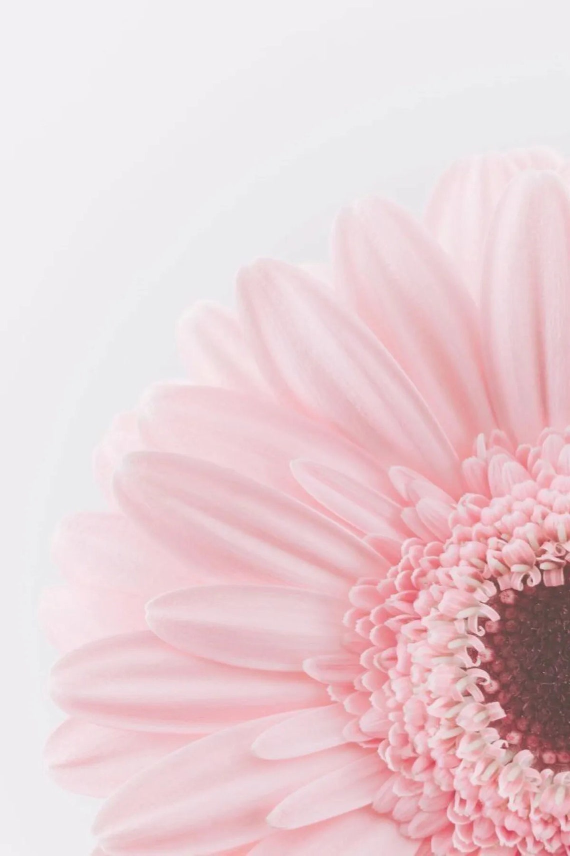 Pink Wall Poster Set of 30 Room Decor Pink Poster Set Pink Lover Gift ...