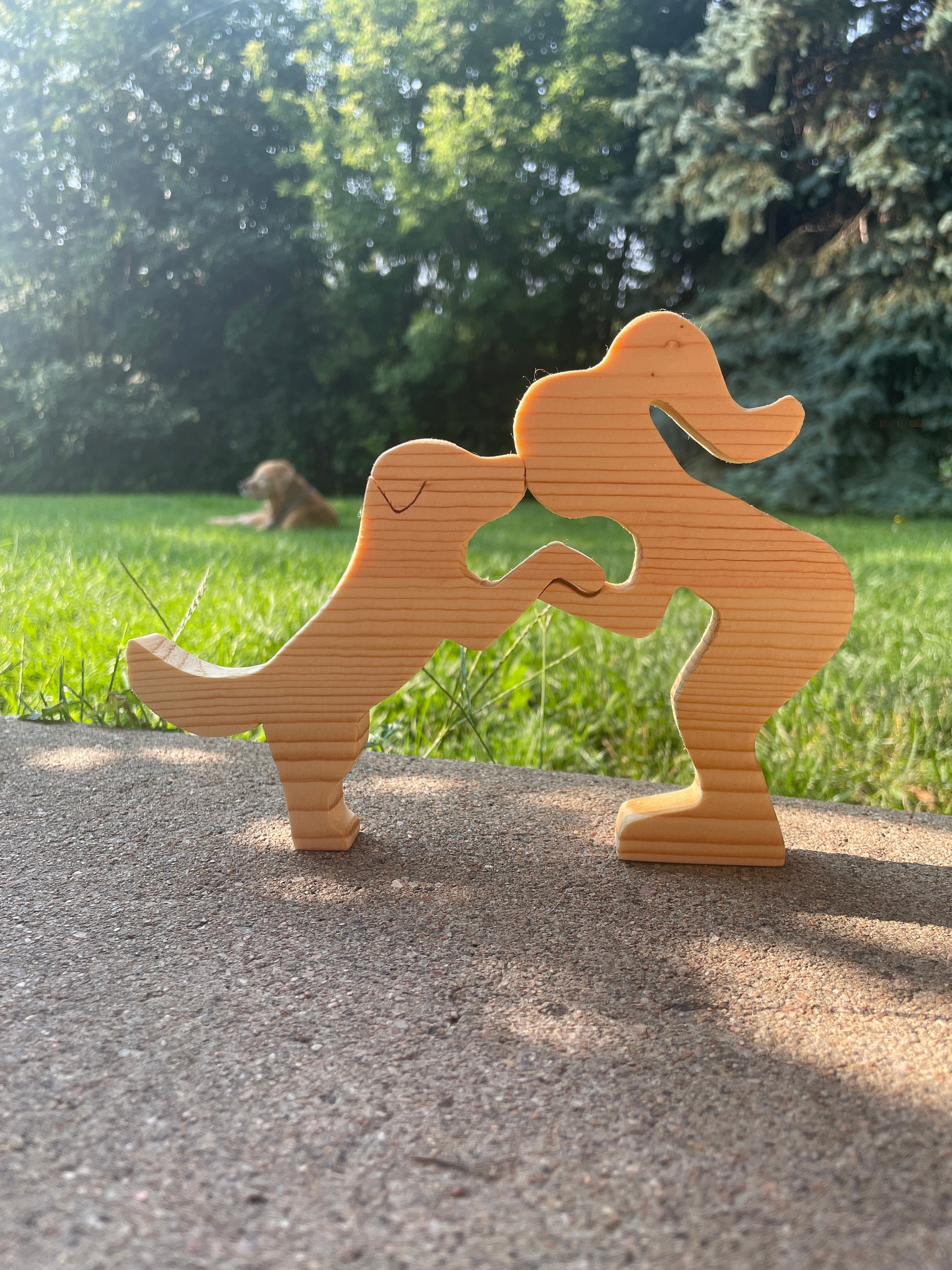 Human & Dog Golden Retriever Labrador Doodle Poodle Mixed Breed ...