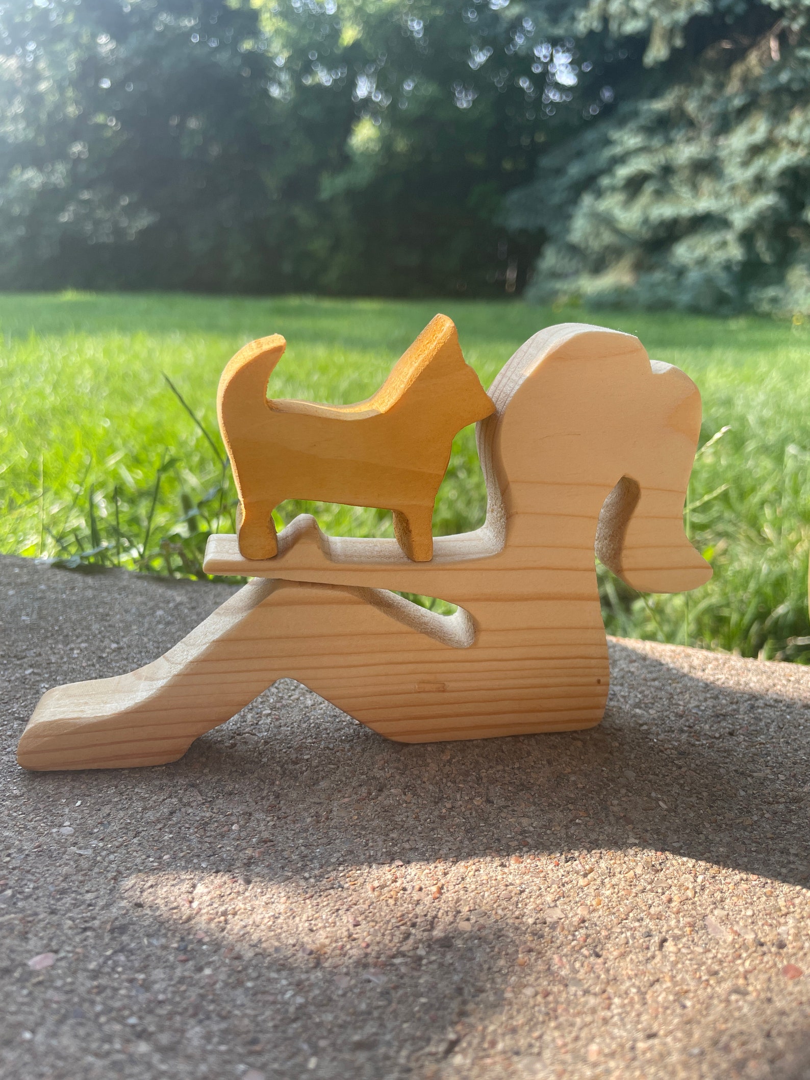 Human & Dog - Chihuahua, Miniature Pincher, Fox Toy Terrier, Jack Mixed ...