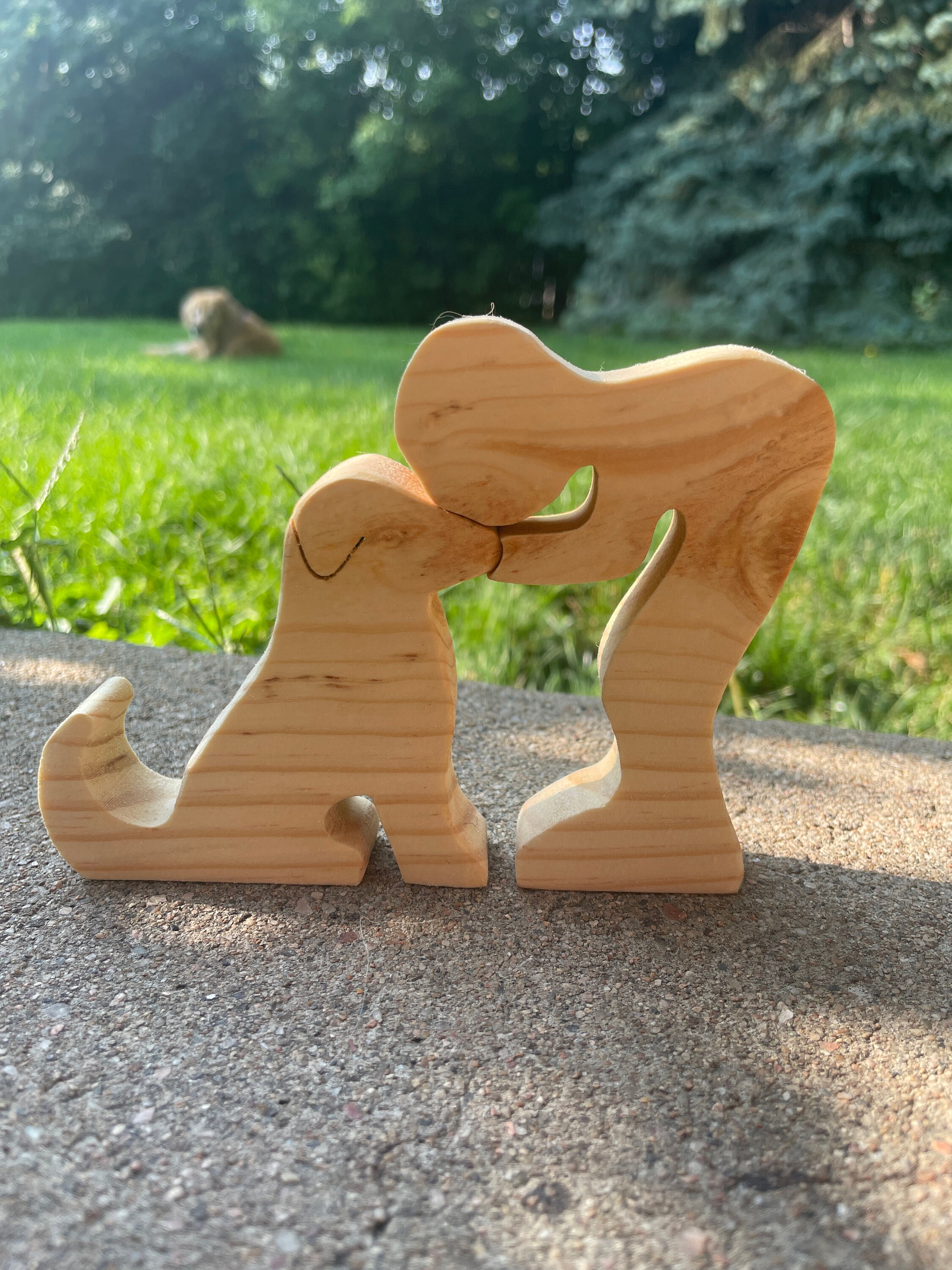 Human & Golden Retriever Labrador Doodle Mixed Breed Mutt - Companion ...