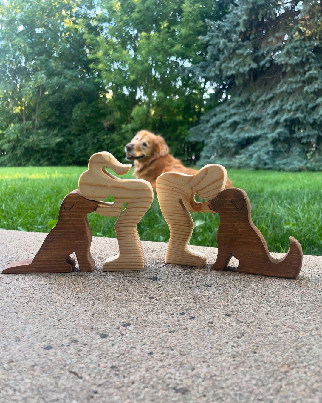 Human & Golden Retriever Labrador Doodle Mixed Breed Mutt - Companion ...
