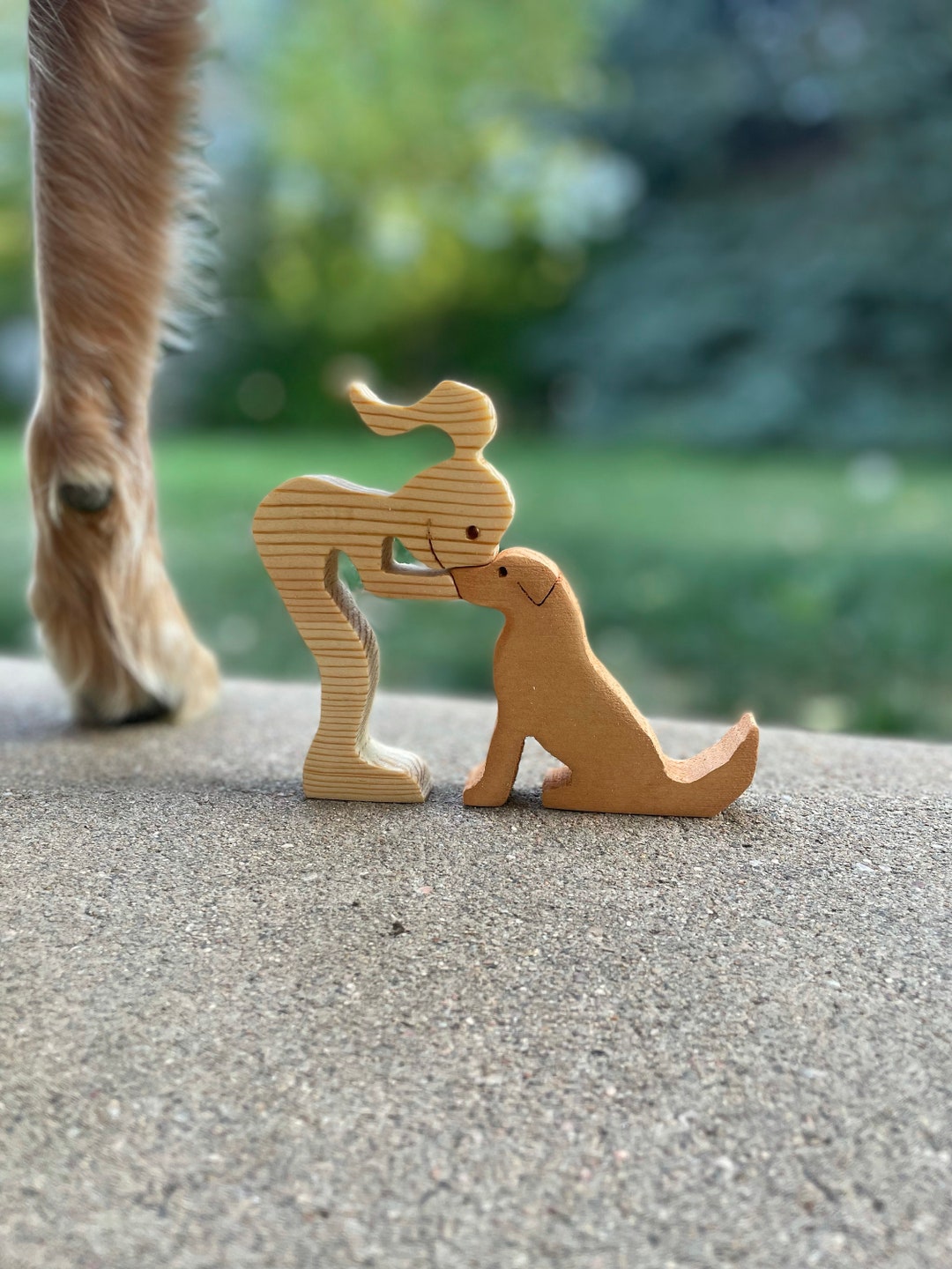 Long Hair Human & Golden Retriever/ Labrador Companion - Etsy