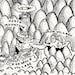 Hyrule Adventure Map - Etsy