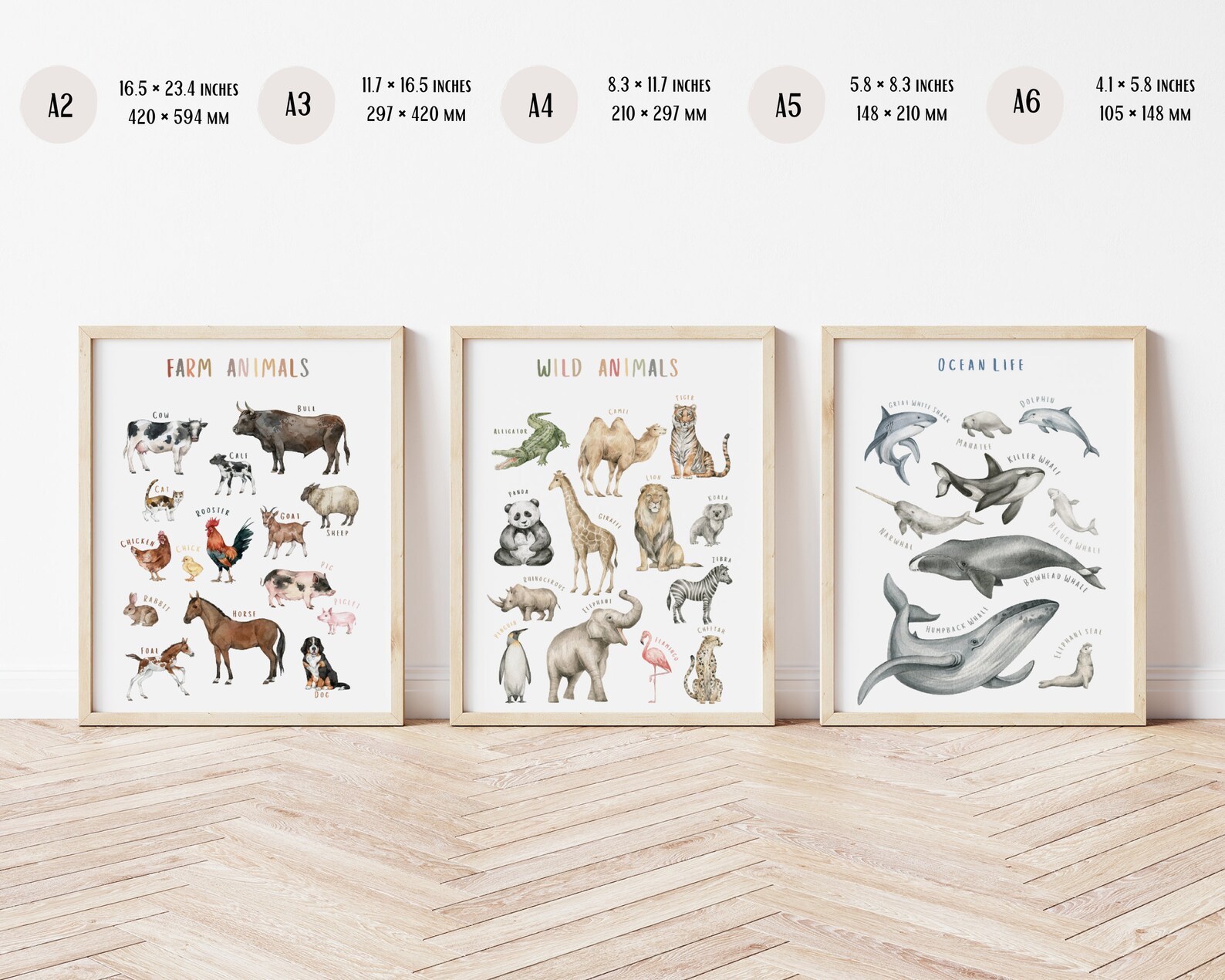 Set of 3 Educational Posters Animal Posters Classroom Decor Montessori ...