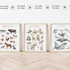 Set of 3 Educational Posters | Animal Posters | Classroom Decor ...