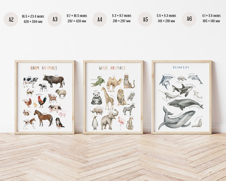 Set of 3 Educational Posters Animal Posters Classroom - Etsy