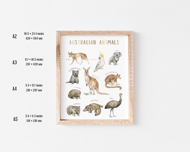 Australian Animals Poster | Educational Poster | Classroom Decor ...