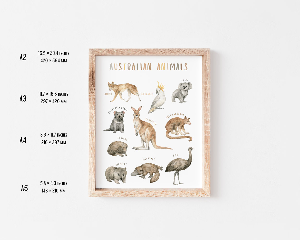 Australian Animals Poster | Educational Poster | Classroom Decor ...