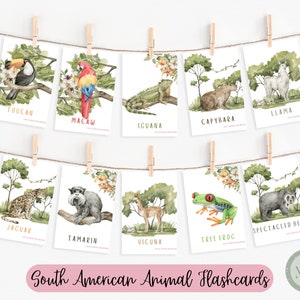 70 Printable Animal Flashcards | Toddler Flashcards | Preschool ...