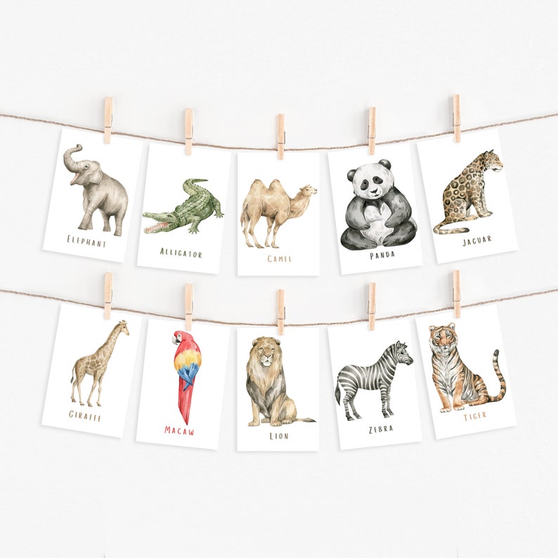 92 Printable Flashcards Animal Flashcards Farm Animal - Etsy