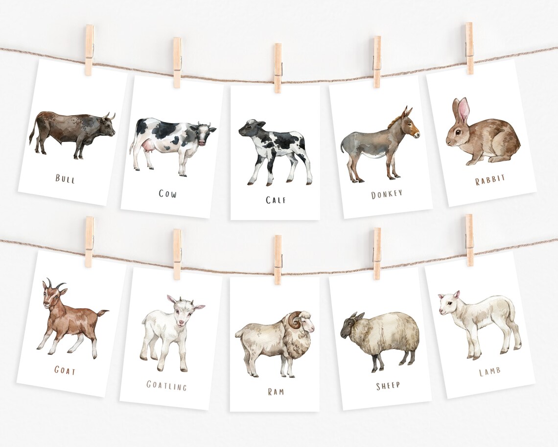 20 Farm Animals Flashcards Domestic Animals Toddler - Etsy