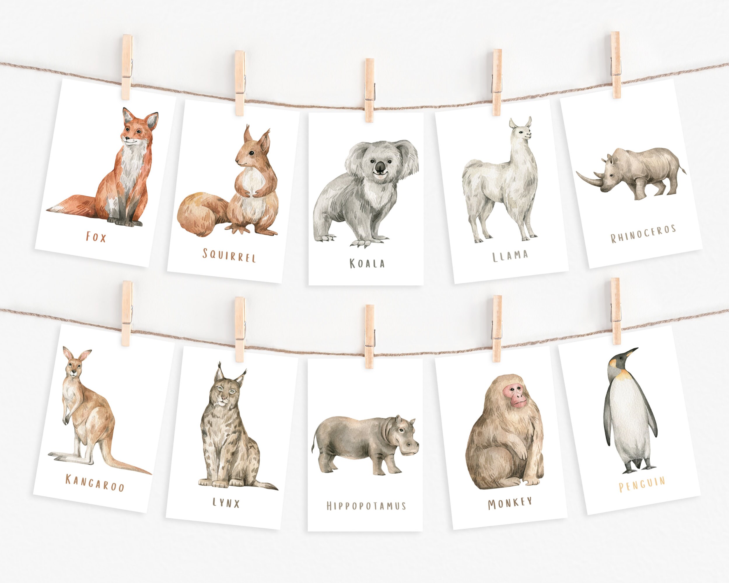 Animal Flashcards Wild Animals Poster Domestic Animals - Etsy