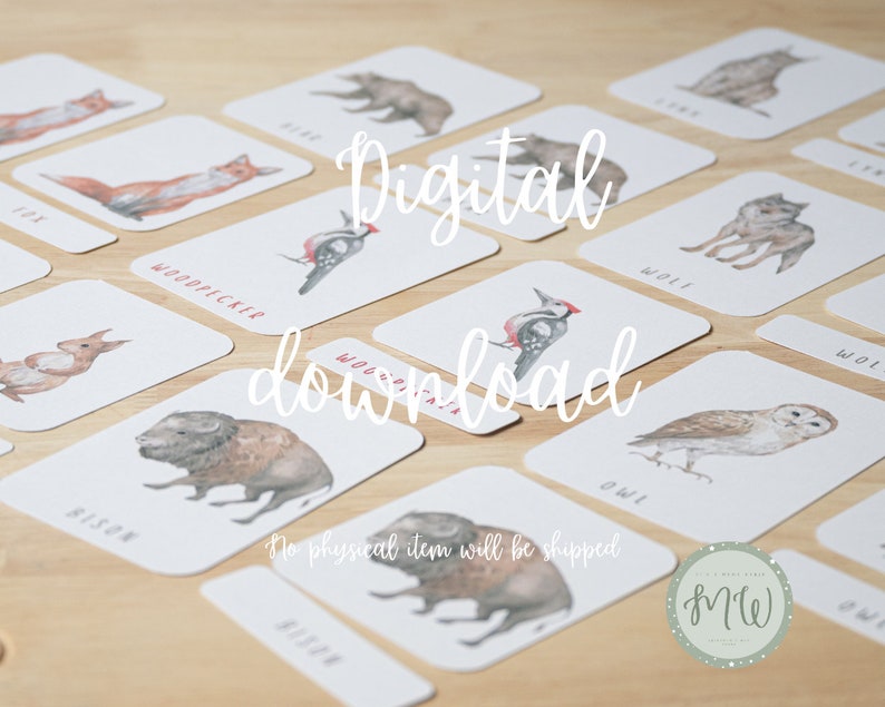10 Woodland Animals Flashcards for Kids | Montessori Flashcards | Wild ...
