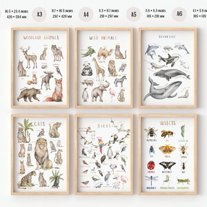 Set of 6 Educational Posters | Wilds Animals Poster | Woodland Animals ...