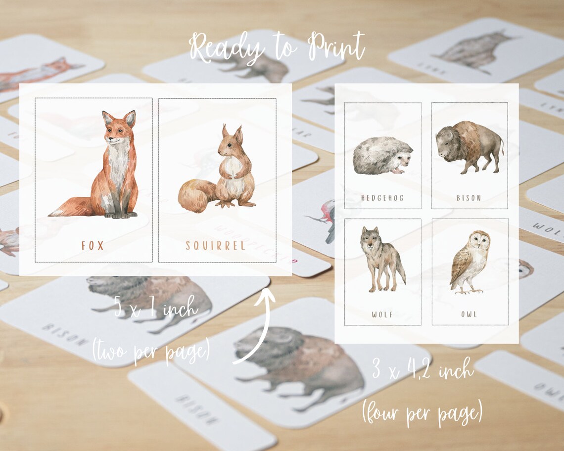 10 Woodland Animals Flashcards for Kids | Montessori Flashcards | Wild ...