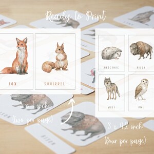 10 Woodland Animals Flashcards for Kids | Montessori Flashcards | Wild ...