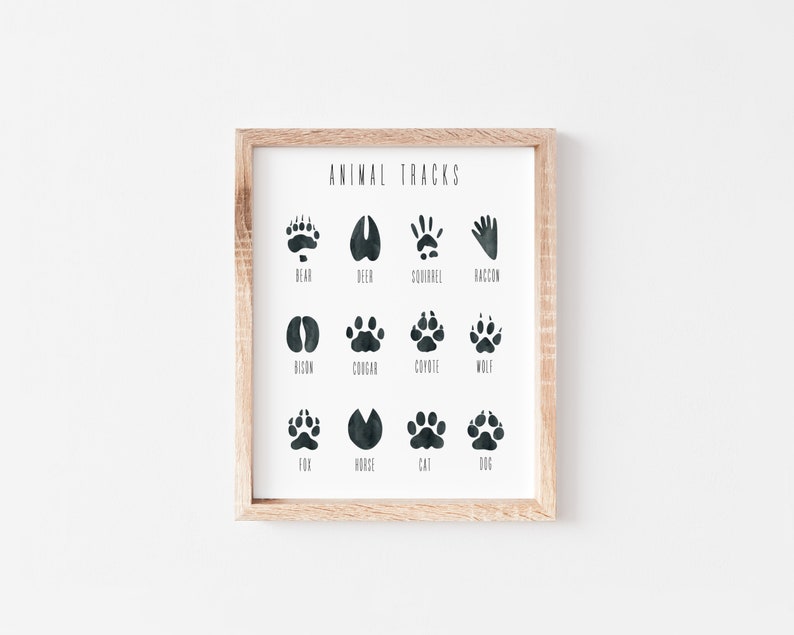 Animal Tracks Poster Woodland Poster Montessori Posters - Etsy