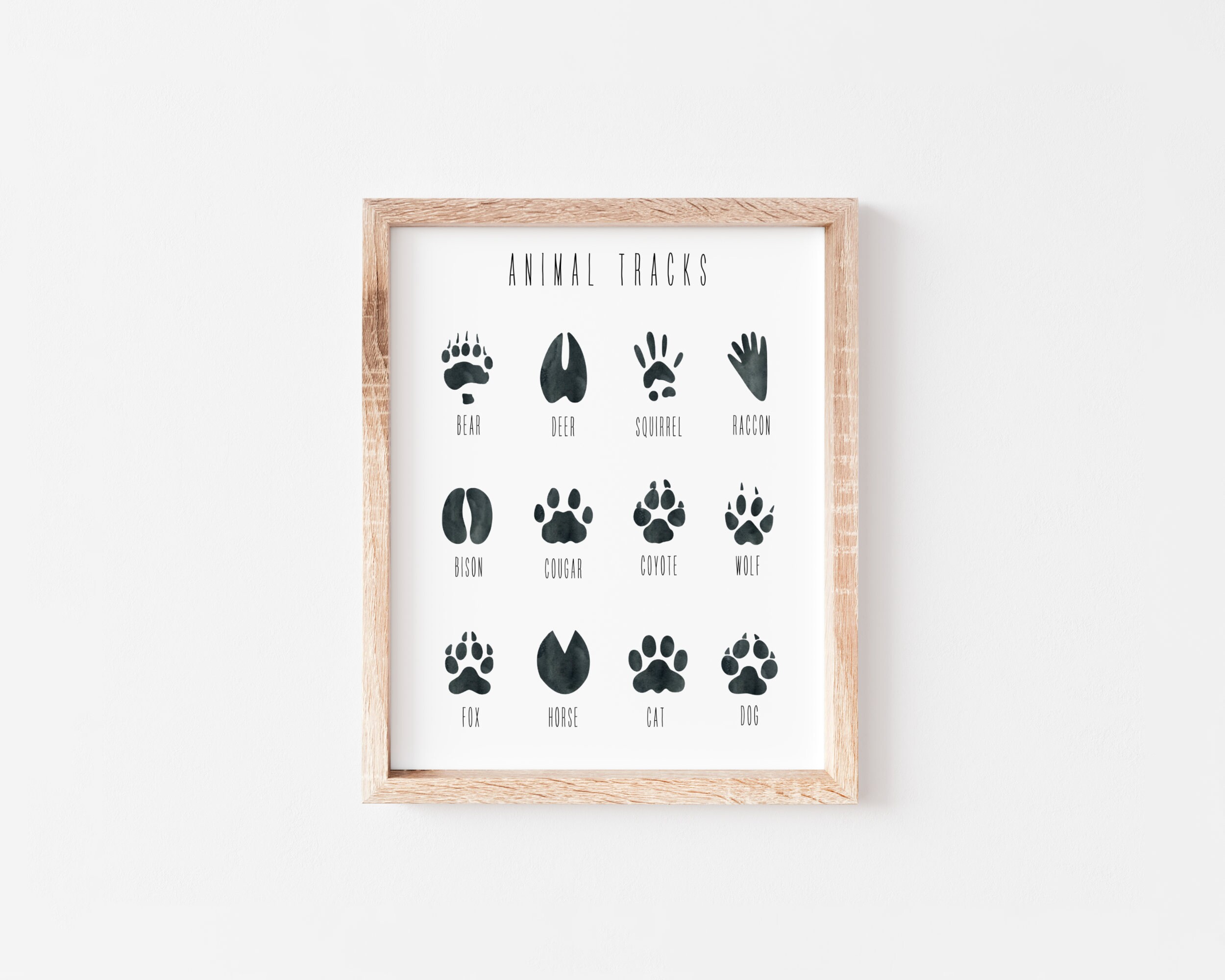 Animal Tracks Poster Woodland Poster Montessori Posters - Etsy