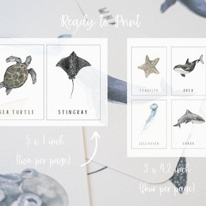 10 Montessori Sea Animals Flashcards for Kids | Educational Digital ...