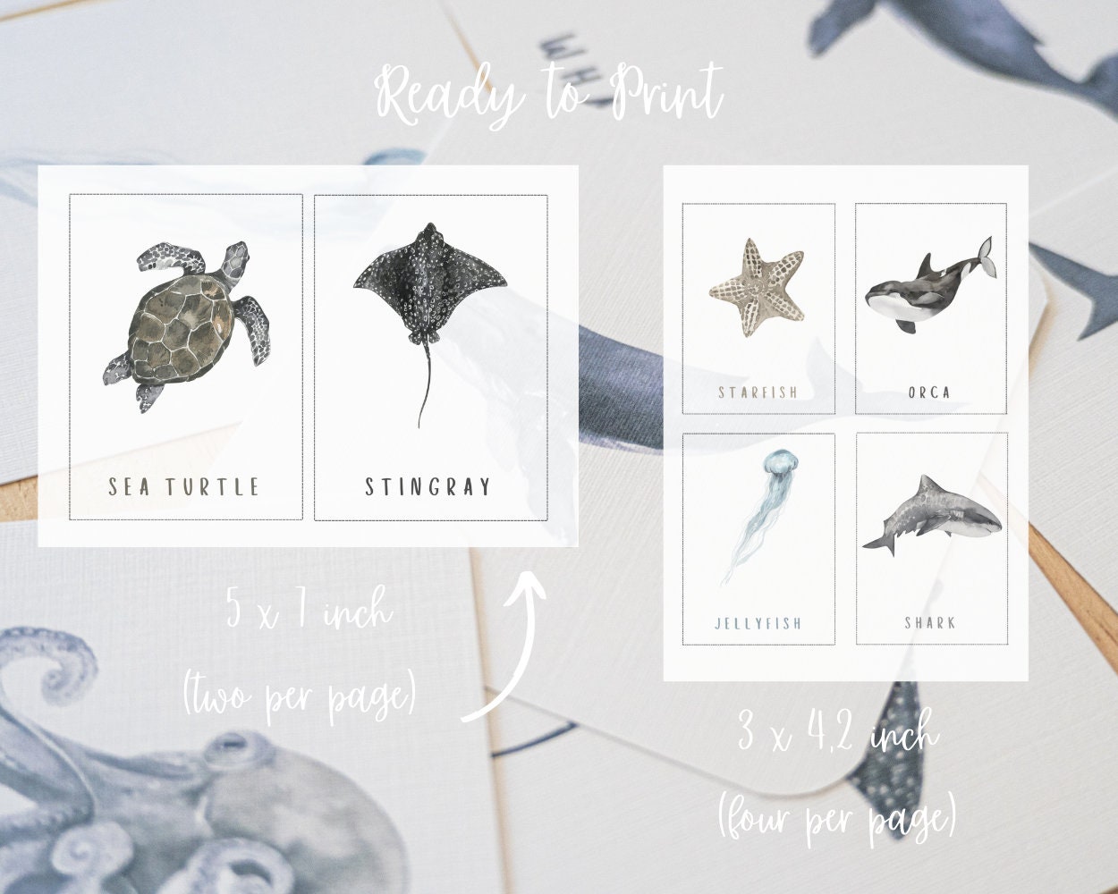 10 Montessori Sea Animals Flashcards for Kids | Educational Digital ...