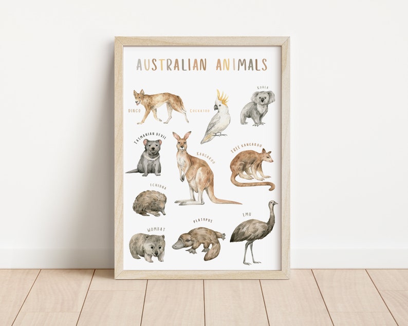 Australian Animals Poster | Educational Poster | Classroom Decor ...