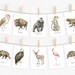 92 Printable Flashcards Animal Flashcards Farm Animal Flashcards Fruit ...