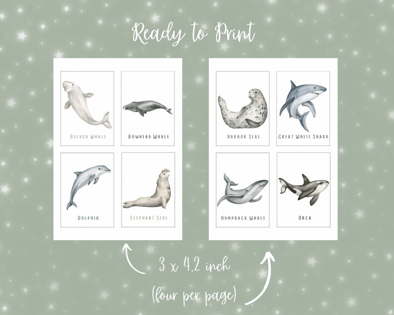 12 Ocean Animal Flashcards Sea Animal Flashcards Toddler - Etsy