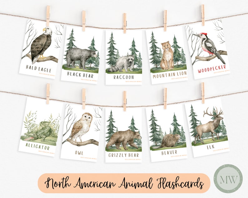 70 Printable Animal Flashcards | Toddler Flashcards | Preschool ...