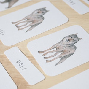 10 Woodland Animals Flashcards for Kids | Montessori Flashcards | Wild ...